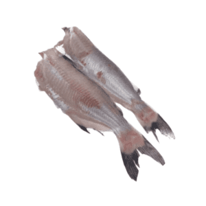 Fresh Fish Archives - Schafer Fisheries